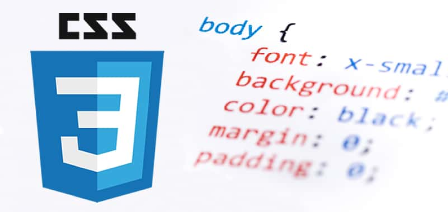 Conceptos Esenciales de HTML y CSS